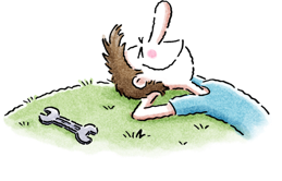 Red Bull Trolley Grand Prix New Zealand